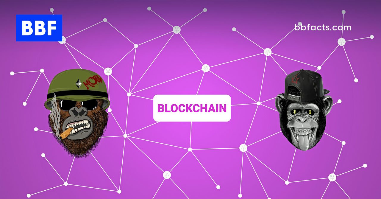 Most expensive NFT ever sold - Beyond Belief Facts